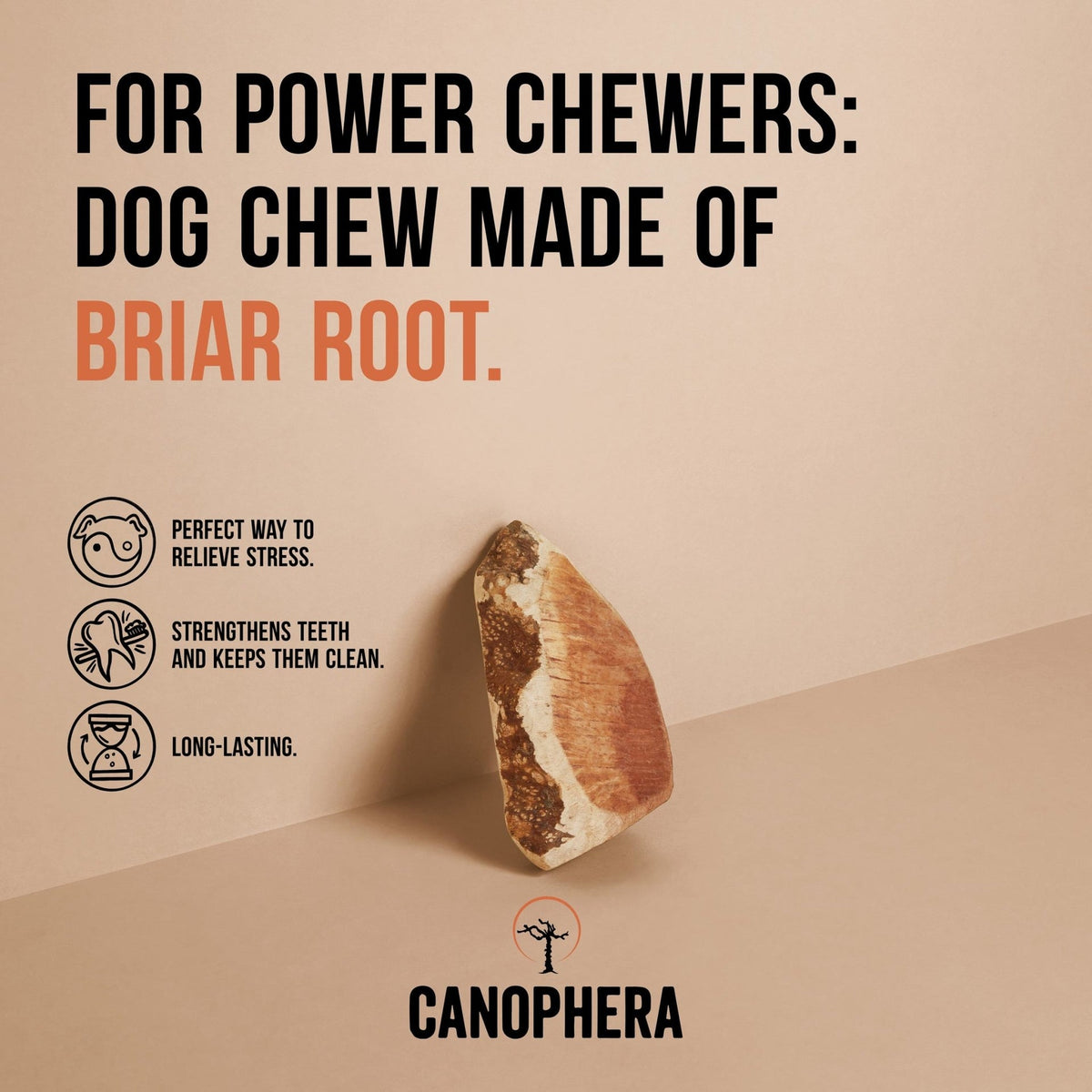 Canophera Briar Wood Root Dog Chews - Damariscotta, ME - Westbrook, ME ...