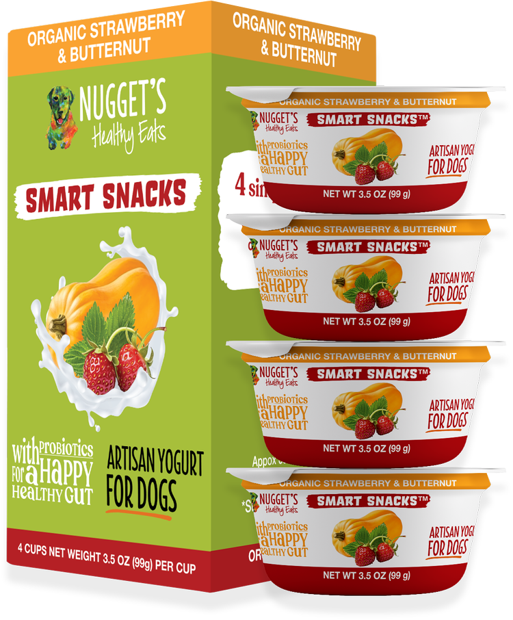 Nugget's Healthy Eats Smart Snacks Strawberry & Butternut ...